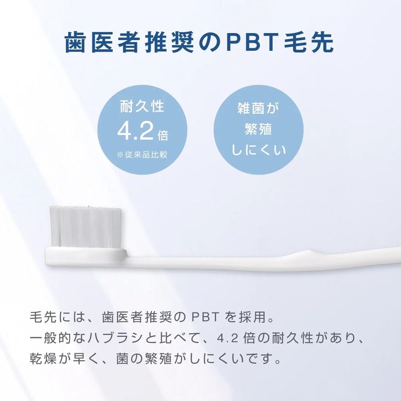 Commercial Disposable Toothbrush DX Powder (Xylitol), Set of 20 ...