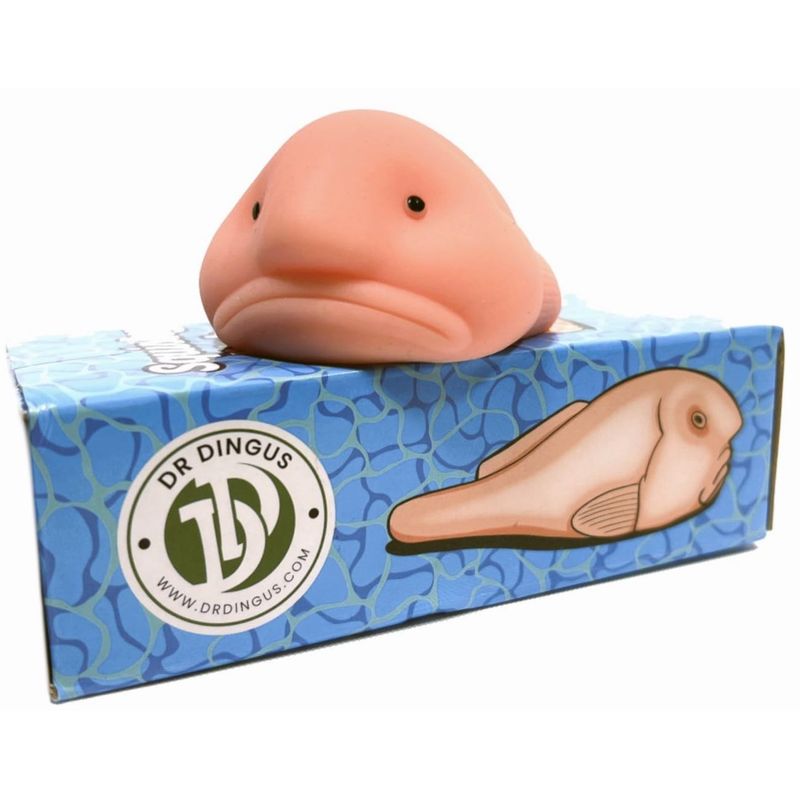 Squishy Blobfish - 1 Fishy - Ugly or Cute Blob Fish Squishies - Best ...