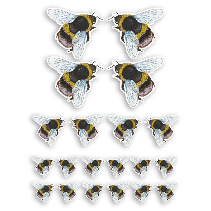 Cute Bumble Bee Vinyl Stickers - Bees Insect Kids Science Nature ...