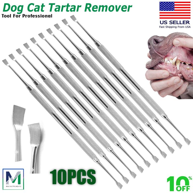 Dental DeScaler Tooth Dog's Tartar Removal Tool Pets Plaque Calculus ...