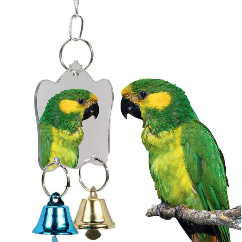 Bird Mirror Toy Parrot Hanging Anti-shatter Mirror Fun Play Toy with ...