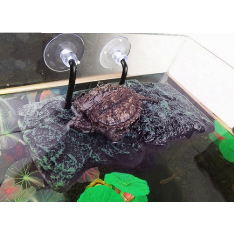 BigTron Turtle Platform, Floating Turtle Pier Rectangular Terrapin Dock ...