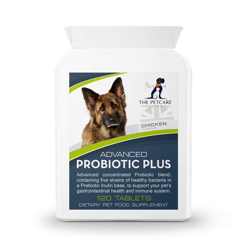 Advanced Probiotic Plus, 5 Powerful Strains of Bacteria in a Prebiotic ...