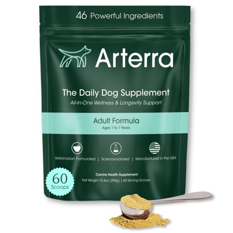 Longevity Multivitamin for Adult Dogs – 46 Ingredients for Gut, Immune ...