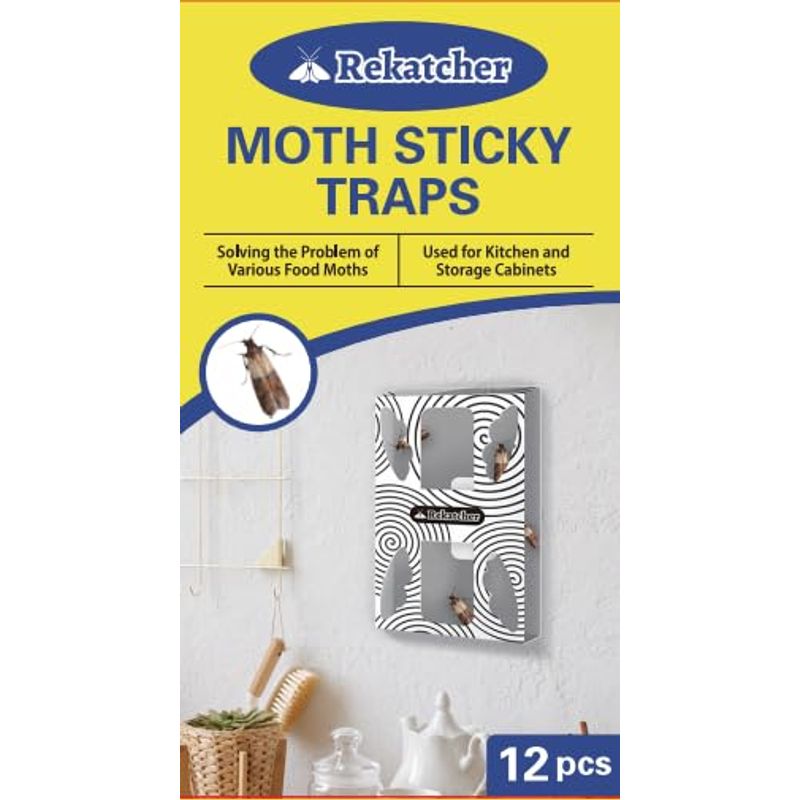 Rekatcher Pack of 12 food moths trap moth trap food hatching wasps ...