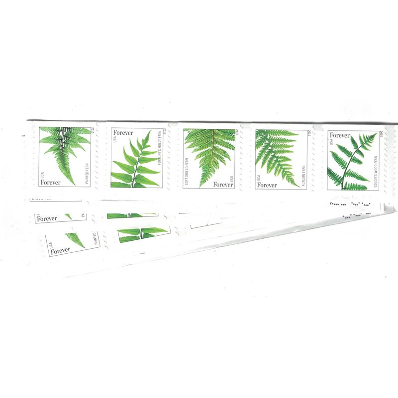 USPS Ferns Stamps - 50 Forever Stamps (5 Strips of 10 Stamps) - Online ...