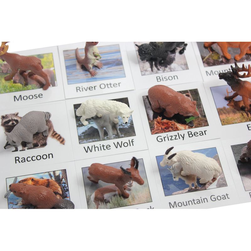 Montessori Animal Match - Miniature North American Wildlife Animal Toy ...