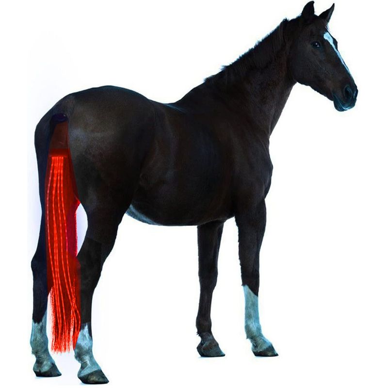 A&K L'YDIA Horse Tail LED Light Bar,100cm/40inch Horse Equipment Riding ...