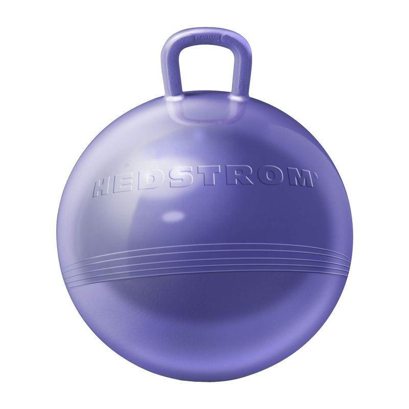 Hedstrom 15" Metallic Purple Fun Hopper - EveryMarket