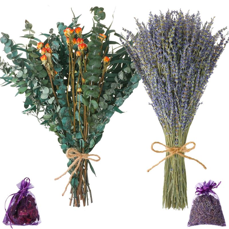 Shower Eucalyptus Hanging, Eucalyptus for Shower, Eucalyptus Stems ...