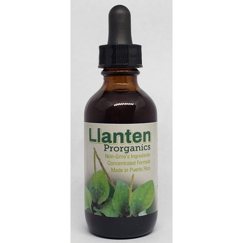 Plantain, Llanten Mother Tincture, Extract, Organic (Plantago Major ...
