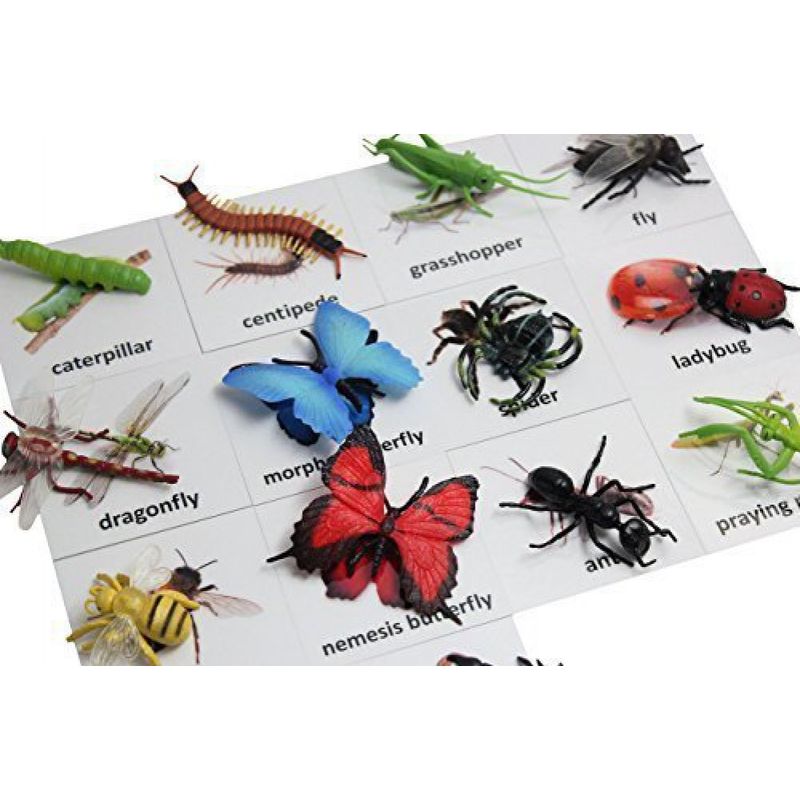 Curious Minds Busy Bags Montessori Insect Animal Match Cards and ...