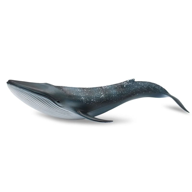 Solid Sea Animals Educational Toys,Simulation Ocean Shark Sea Creature ...