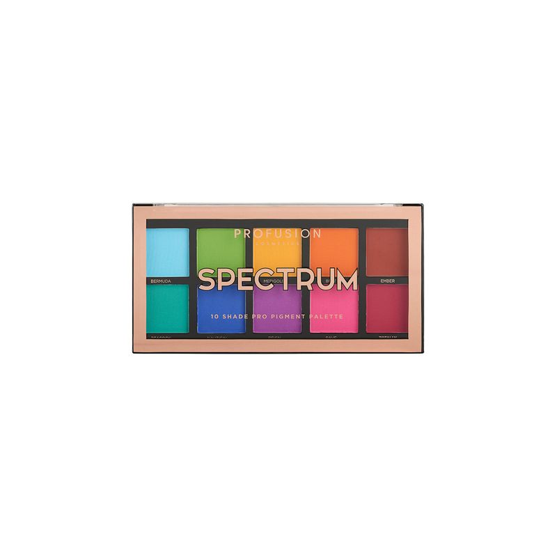 Profusion Cosmetics 10 Shade Eyeshadow Palette - High Pigmented Multi ...