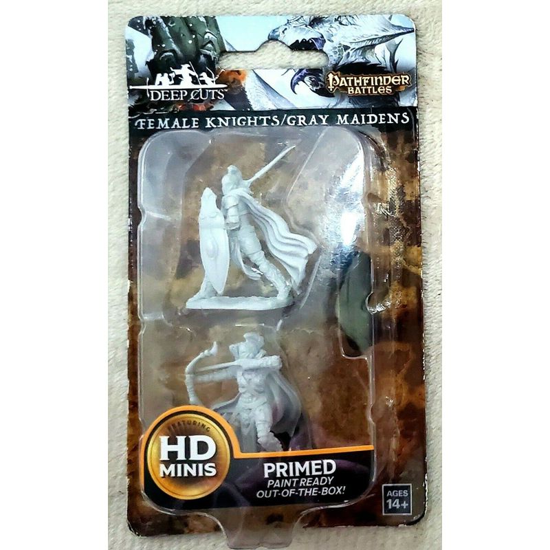 WizKids Pathfinder Deep Cuts Unpainted Miniatures: Wave 6: Female ...