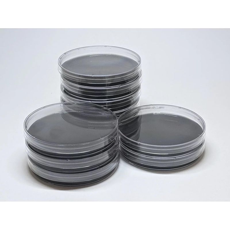 MEYA Agar Plates 10pcs Plastic Petri Dishes with with Activated ...