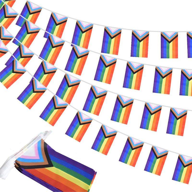 10 Meter Inclusive Progress Pride Flags, Pride Flag With 38 Pennant ...
