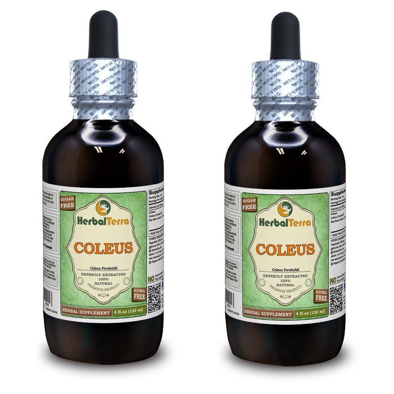 Coleus (Coleus Forskohlii) Glycerite, Dried Root Alcohol-FREE Liquid ...