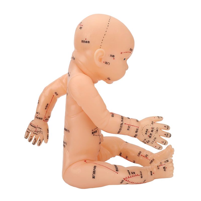 ZJchao Babies Acupuncture Massage Model, Acupuncture Children Massage ...