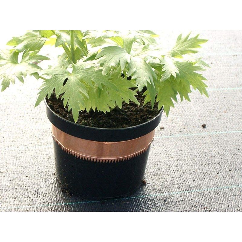 Agralan Copper Snail & Slug Tape 5m - Online Marketplace - EveryMarket