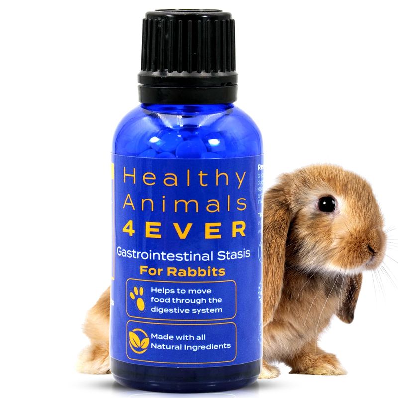 Healthy Animals 4Ever All-Natural Rabbit Gastrointestinal Stasis ...