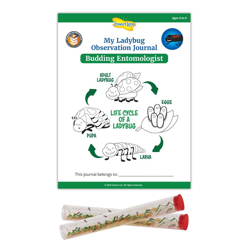 Insect Lore STEM Ladybug Activity Journal with Two Tubes of Ladybug ...