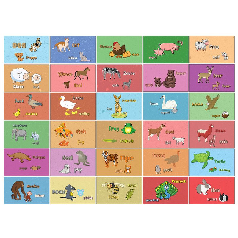 Animals Alphabet Flash Cards for Children (26 Cards x 1 Set - 26 Cards ...