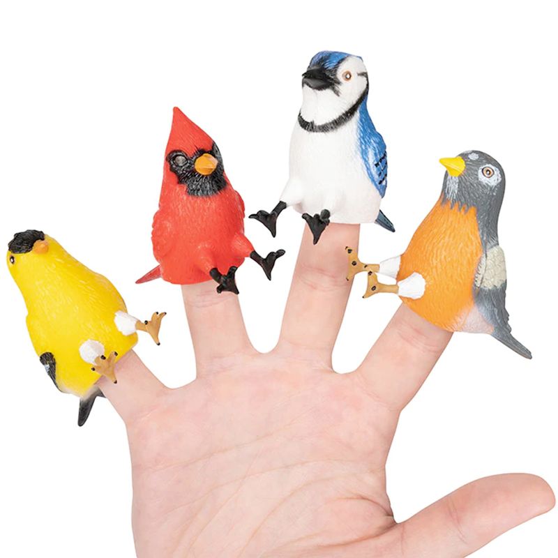 Accoutrements Whimsical Bird Feeder Social Set: Cardinal, Goldfinch ...