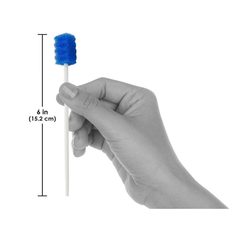 AbsorbEase Oral Swabs - Disposable Sponge Swabs for Effective Mouth ...