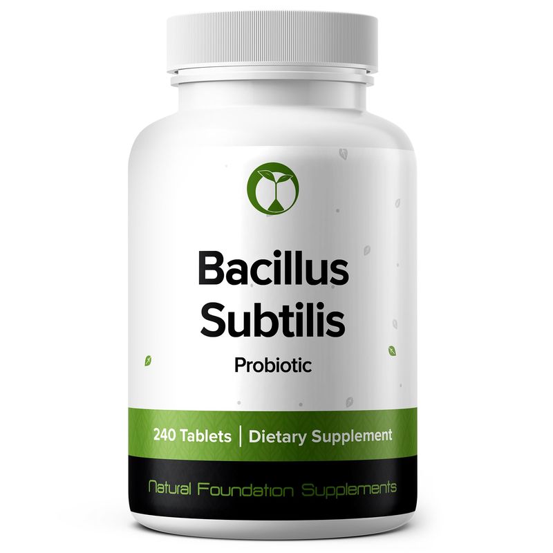 Bacillus Subtilis Probiotic Supplement 240 Tablets 3 Billion CFU ...