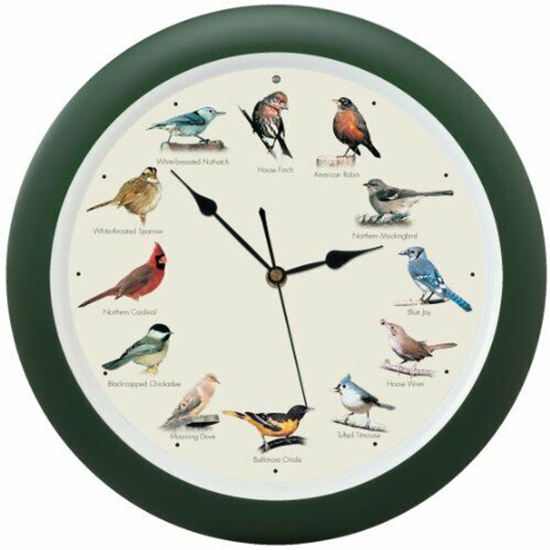 The Original Singing Bird Hanging Wall Sound Clock, 13 Inch, Green ...