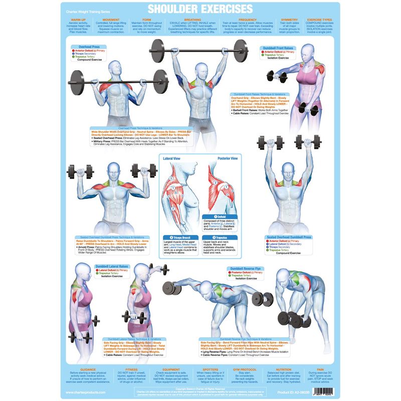 Bodybuilding, Weight Training Exercise Chart Series - A1 Laminated Set ...