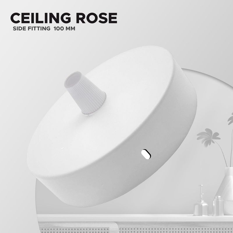 DC VOLTAGE Industrial Vintage Single Outlet Ceiling Rose Multi Colors ...