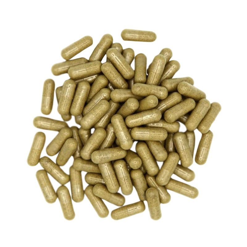 HIGH STRENGTH LEMON BALM 750mg 30,60,240 or 365 capsules available (240 Capsules) - Online ...