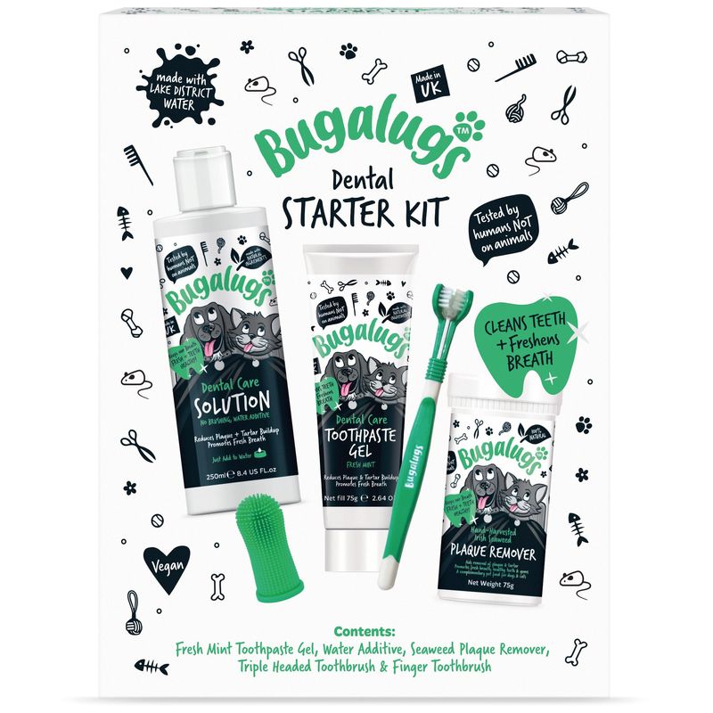 BUGALUGS Starter Dental Kit - Online Marketplace - EveryMarket