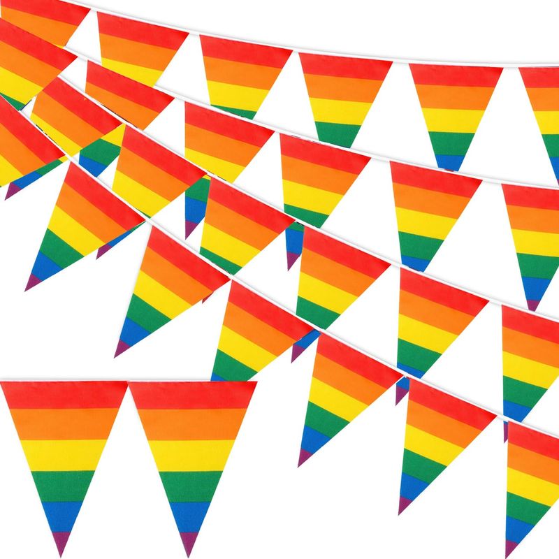 32.8ft Pride Bunting, 30 Triangle Rainbow Bunting Banner, LGBTQ ...