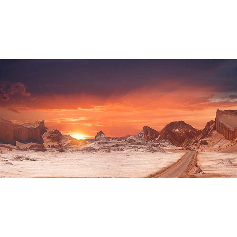 AWERT 36x18 inches Sun and Desert Terrarium Background Orange Reptile ...