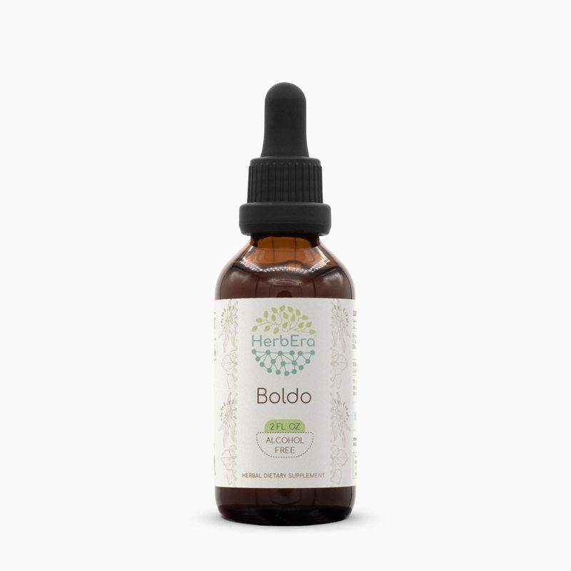 Boldo B60 Alcohol-Free Herbal Extract Tincture, Concentrated Liquid ...
