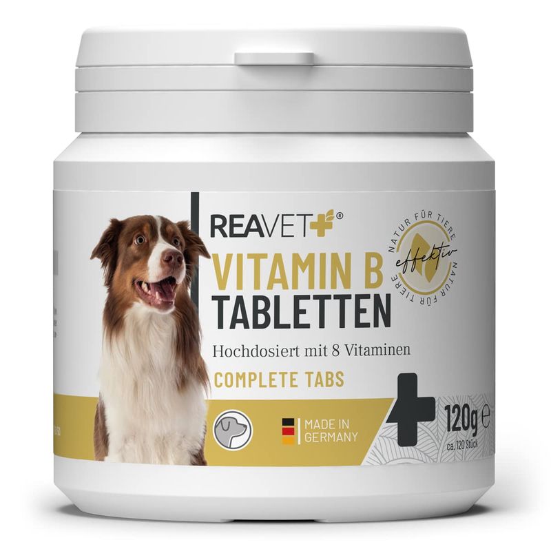 ReaVET Vitamin B Complex Dog 120 Tablets for up to 4 Months - Vitamin B ...