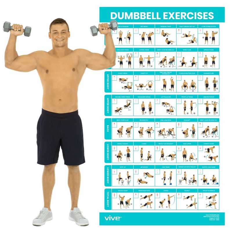 Vive Dumbbell Workout Poster - Home Gym Exercise for Upper, Lower, Full ...