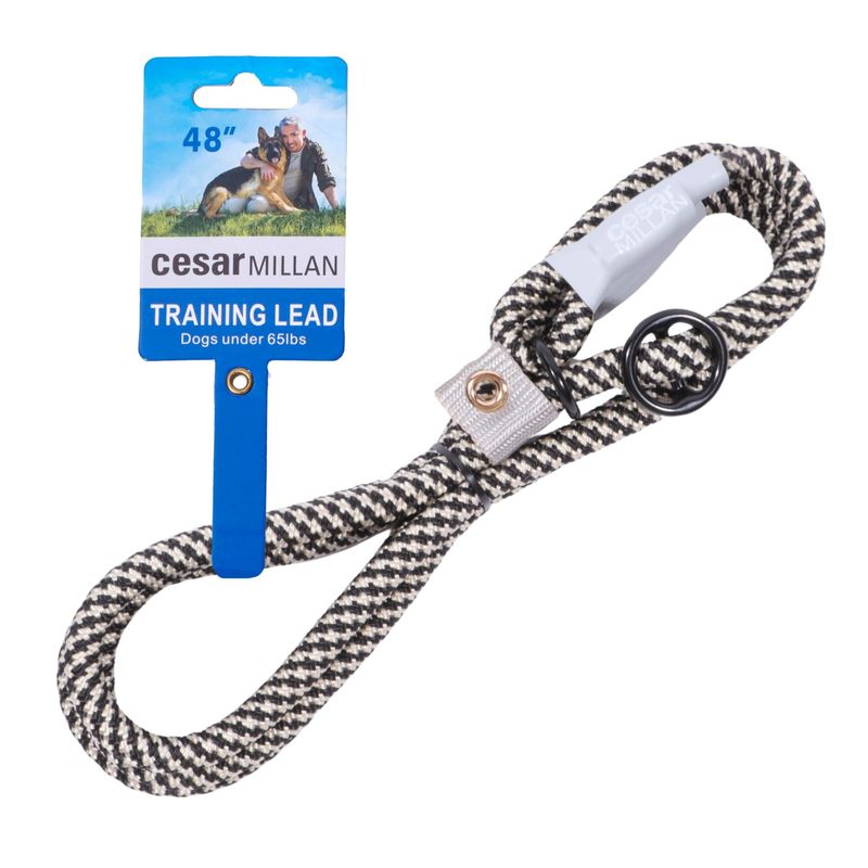 Cesar Millan Slip Lead, Cesar Millan (Genuine, Supervised by Mr. Caesar Milan) Dog Trainer ...