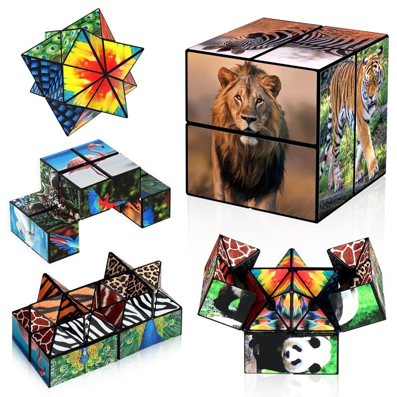 2 in 1 Star Cube Magic Cube Set, Infinity Cube Fidget Toy for Kids ...