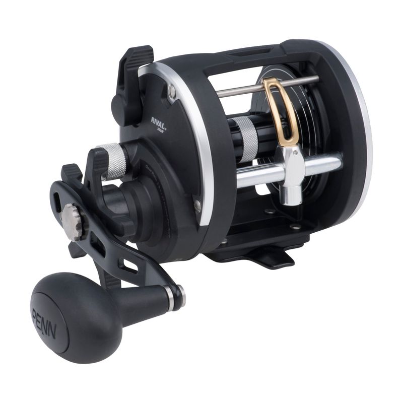 PENN Rival Level Wind Conventional Nearshore/Offshore Fishing Reel, HT ...