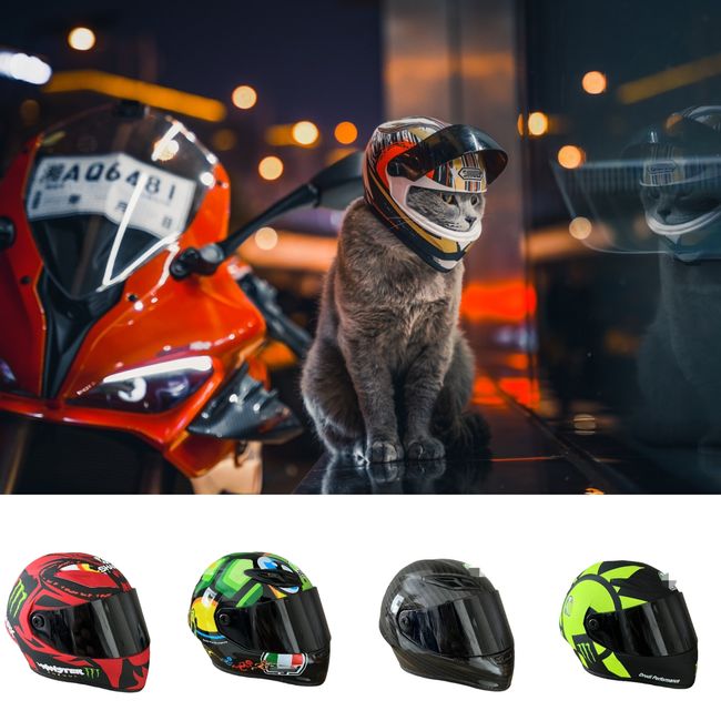 Animal Motorcycle Helmet