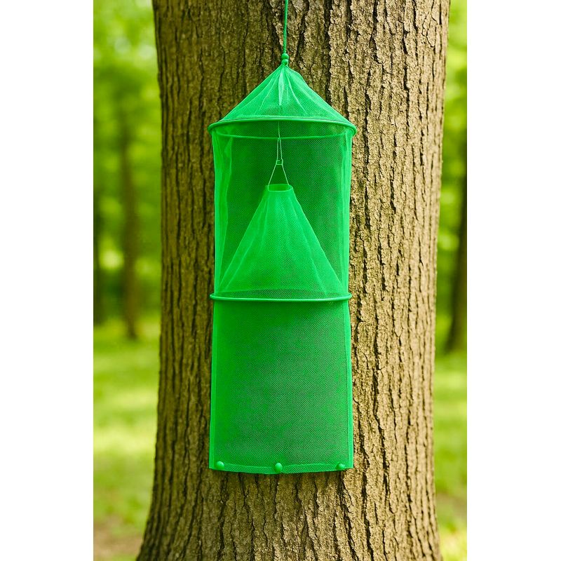 (2 Pack) Spotted Lanternfly Mesh House Trap SLF. Simple and Effective ...