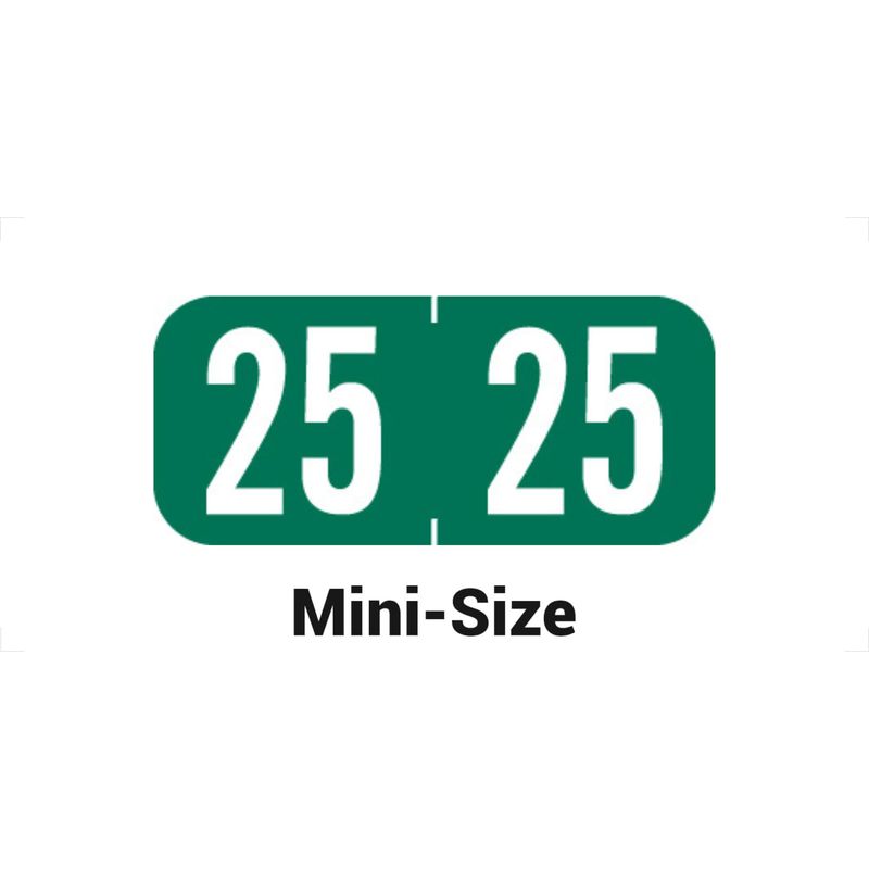 Mini 2025 Year Stickers, Doctor Stuff 2025 Chart Stickers, Green Color ...