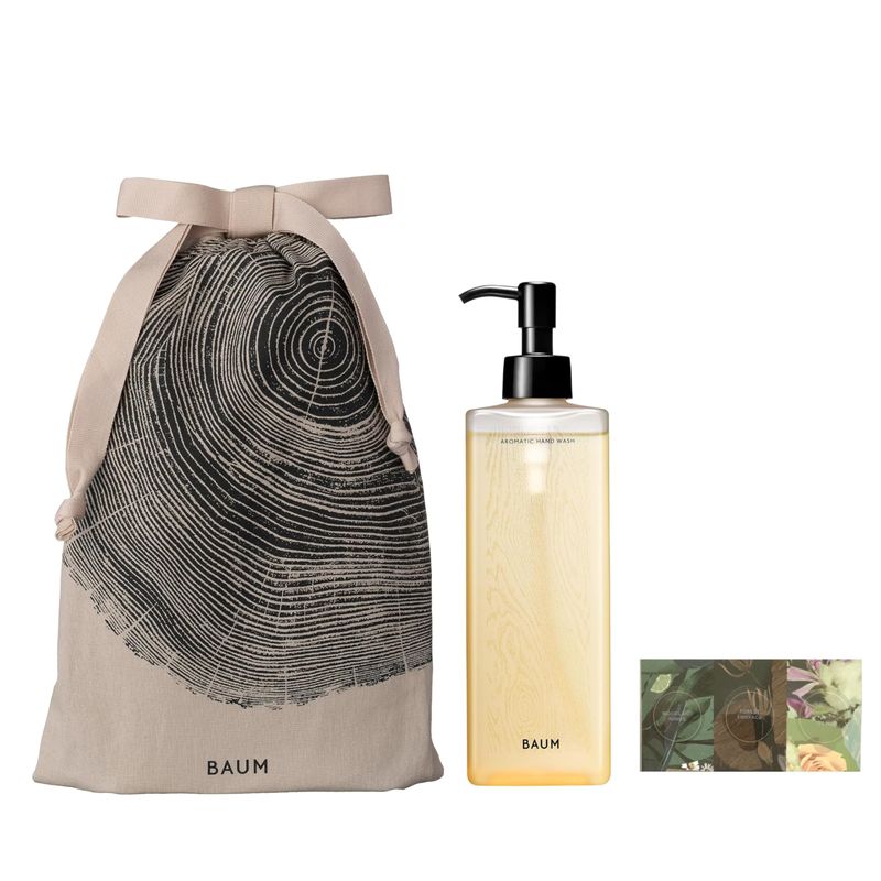 Baum Gift Set, Aromatic Hand Wash, 10.1 fl oz (300 ml) + Wrapping Bag ...