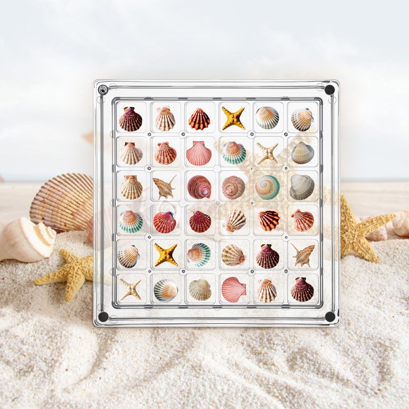 Acrylic Seashell Display Box, 12.5x12.5cm Transparent Sea Shell Holder ...