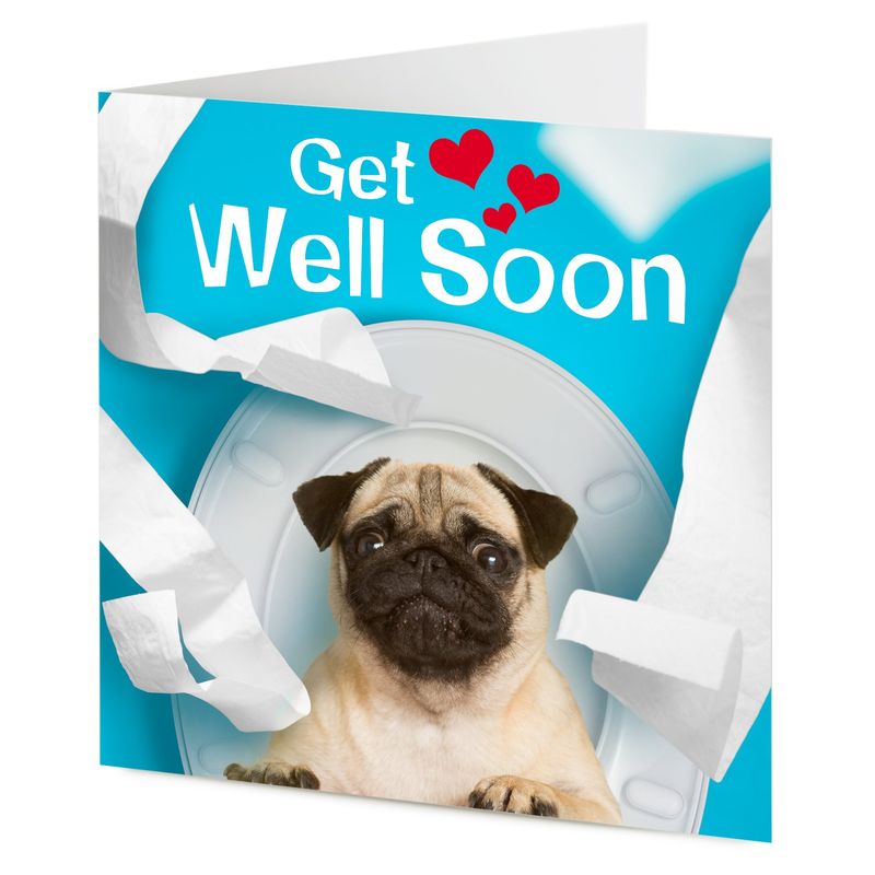 Funny poorly Pug dog sat on the toilet – Get well soon card - Online ...