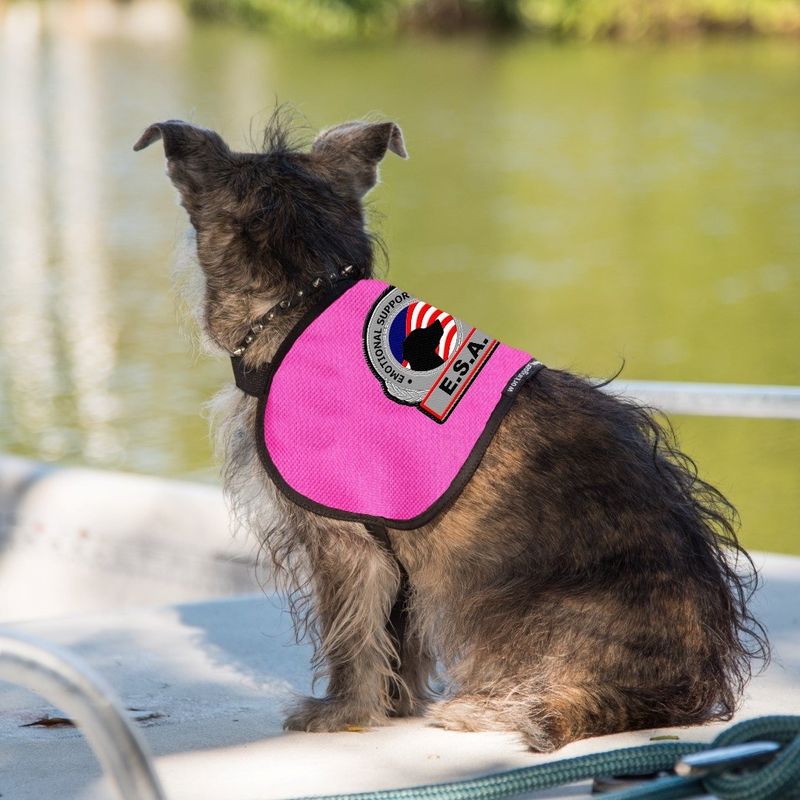 Premium ESA Dog Vest - for Smaller Emotional Support Animals (4-7 ...
